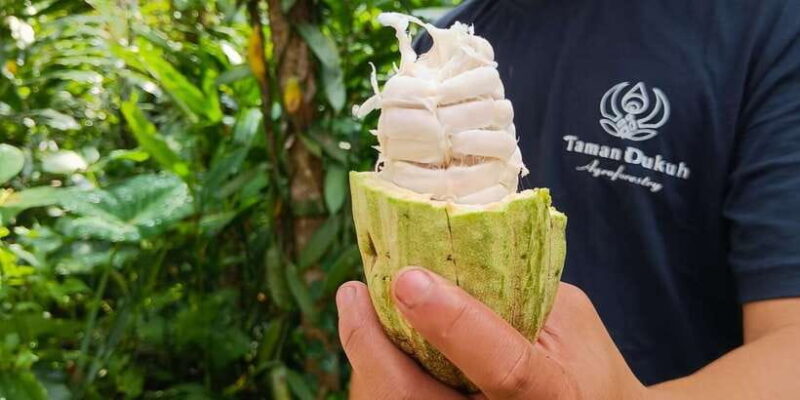 Ubud: Balinese Cooking Class at an Organic Farm - FAQs