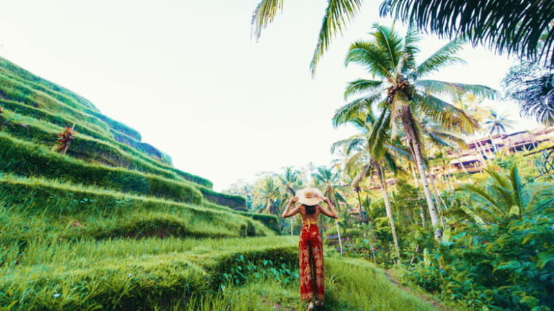 Ubud: Balinese Culture and Nature Private Full-day Tour - Key Points