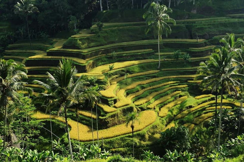 Ubud: Bali's 3 Epic Waterfall, Rice Terrace, and Temple Tour - A Well-Balanced Day of Bali’s Natural and Cultural Wonders