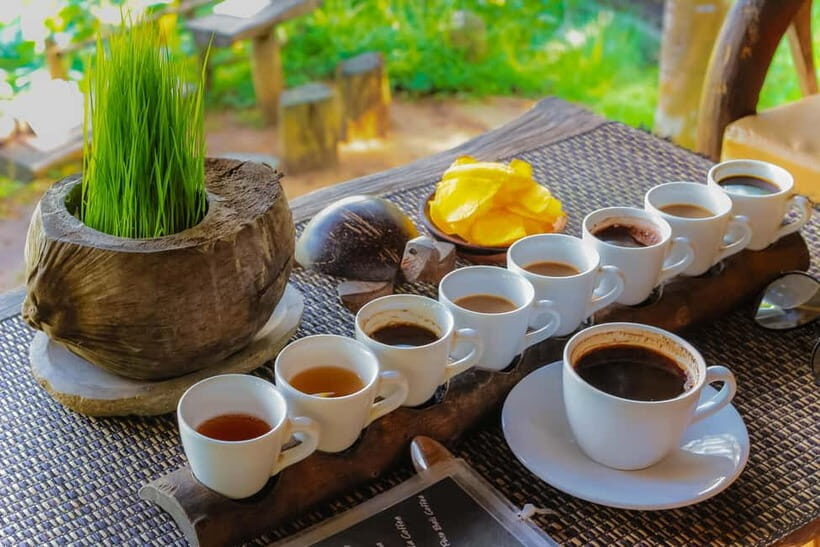 Ubud: Bali's 3 Epic Waterfall, Rice Terrace, and Temple Tour - Final Thoughts: Who Will Love This Tour?