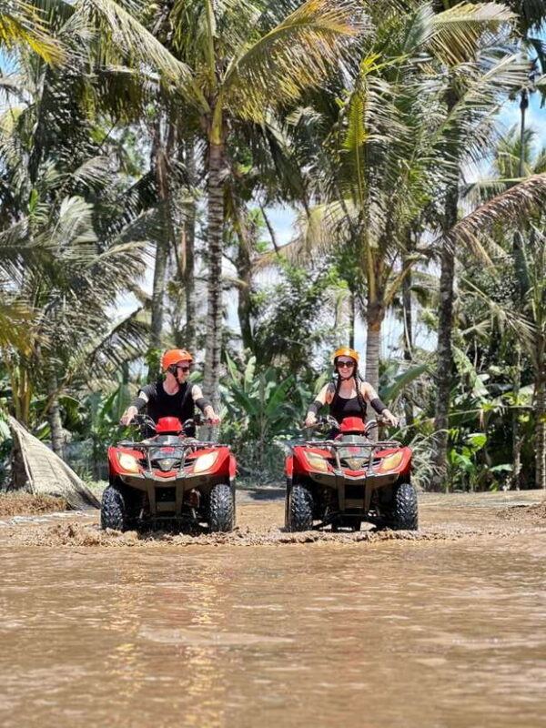 Ubud: Barong Cave ATV, Waterfall and Jungle Swing tours - What’s Included and What to Consider