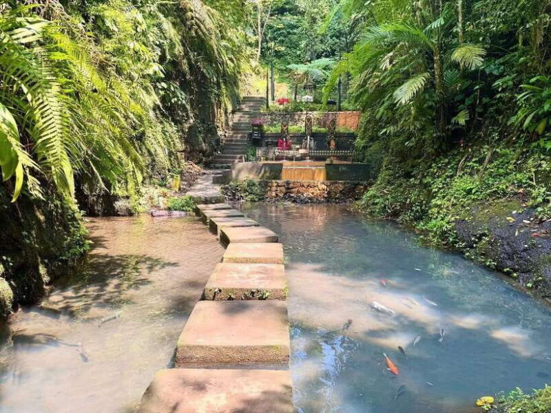 Ubud: Barong Cave ATV, Waterfall and Jungle Swing tours - Who Will Find This Tour Ideal?