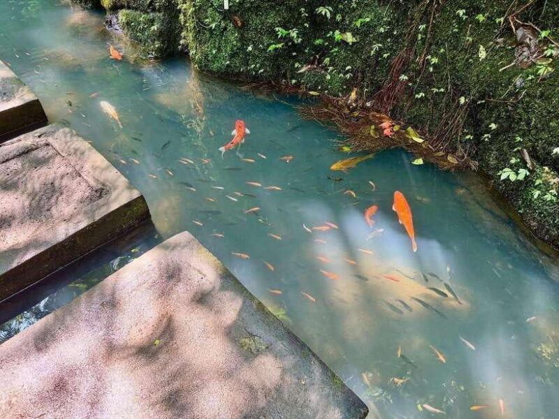 Ubud: Barong Cave ATV, Waterfall and Jungle Swing tours - Frequently Asked Questions