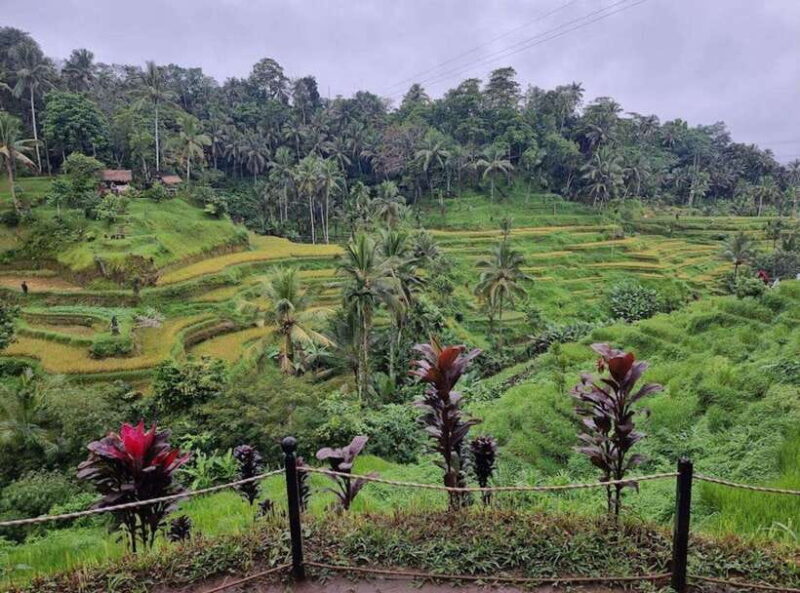 Ubud : Barong Dance, Temple, Rice Terrace & Waterfall - What to Expect on the Tour