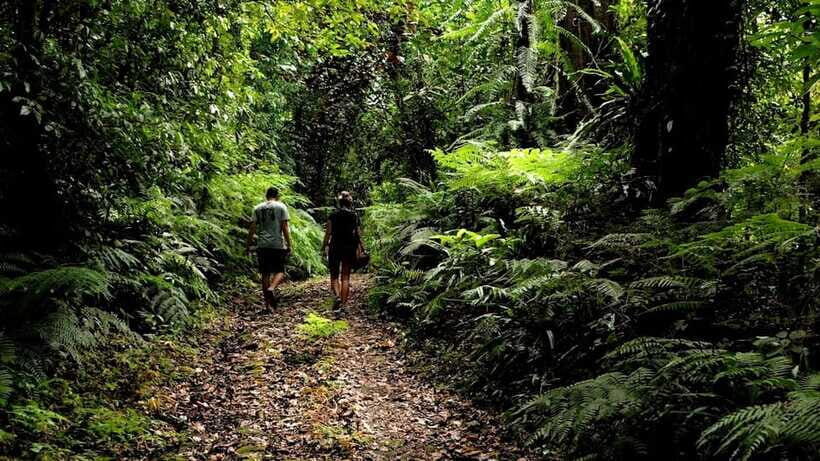 Ubud: Bayad Village, Waterfall and Cave Trek Adventure - The Sum Up