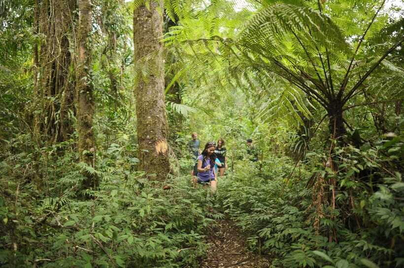 Ubud: Bayad Village, Waterfall and Cave Trek Adventure - FAQ