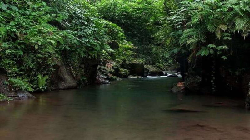 Ubud: Bayad Village, Waterfall and Cave Trek Adventure - Key Points