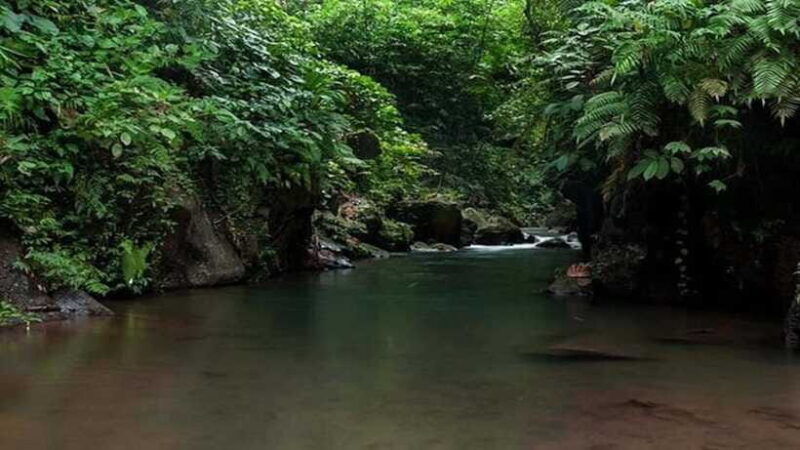 Ubud: Bayad Village, Waterfall and Cave Trek Adventure - Authentic Experiences and Real Traveler Insights