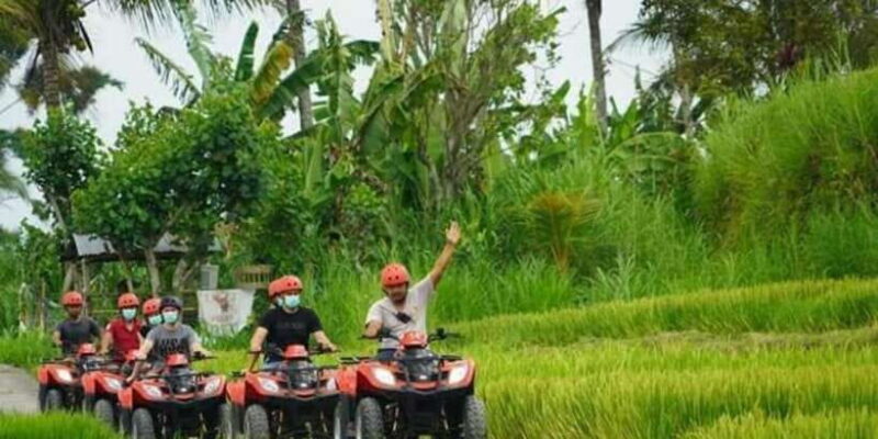 Ubud: Best of ATV Quad Bike Adventure - Key Points