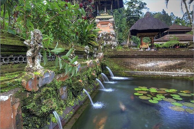 Ubud Best Tour - The Reviews Speak Volumes