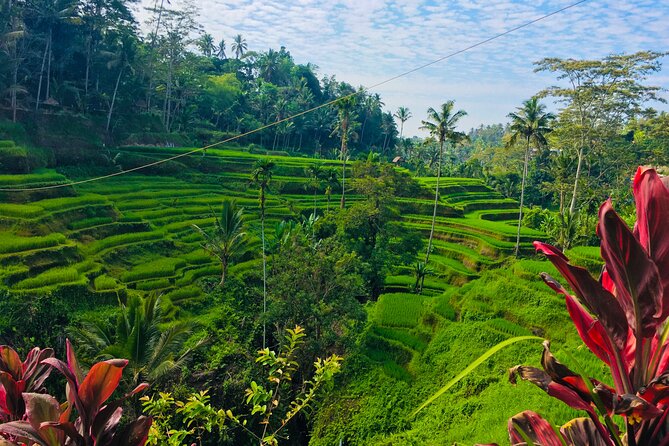 Ubud Best Tour - The Sum Up: The Value of a Personal Touch in Ubud