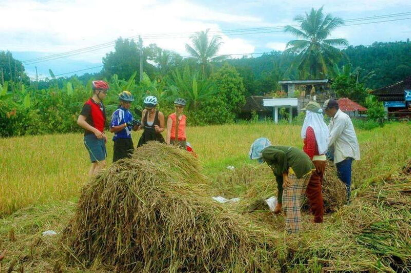 Ubud Bike Tour: Ride to Bali's Holy Water Temple - An Overview of the Ubud Bike Tour Experience