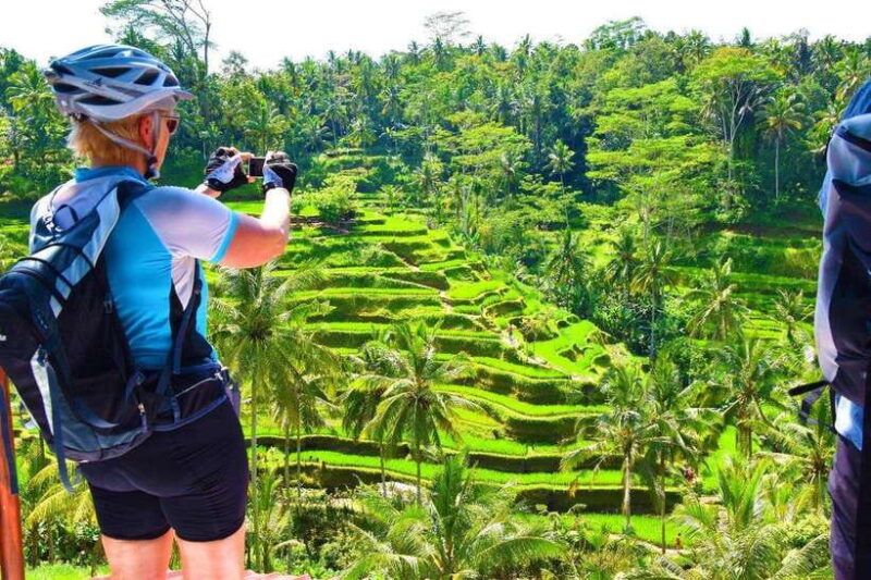 Ubud Bike Tour: Ride to Bali's Holy Water Temple - The Practical Side: What You Need to Know