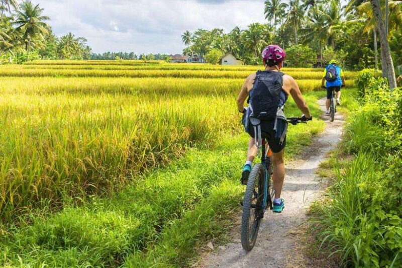 Ubud Bike Tour: Ride to Bali's Holy Water Temple - Authentic Experiences That Make This Tour Stand Out