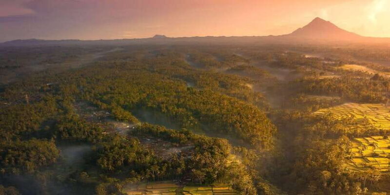 Ubud Bliss Tour - Rice terrace, monkey forest, infinity pool - Key Points