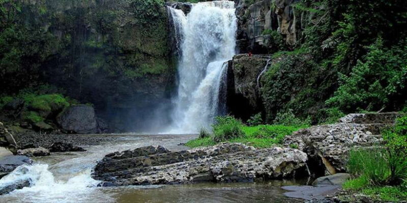 Ubud & Canggu: Rice Terrace, Waterfall & Black Sand Beach - Pricing and Value