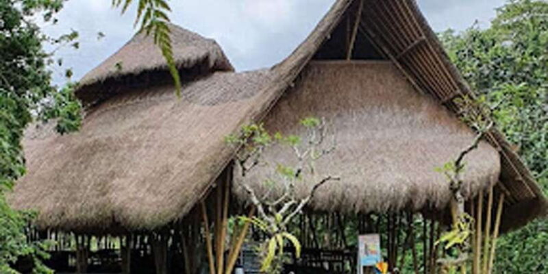 Ubud: Cave Tubing Adventure with Lunch and Transfers - Key Points