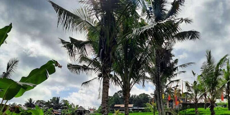 Ubud: Cave Tubing Adventure with Lunch and Transfers - FAQs