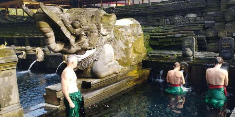 Ubud : Cleansing Ritual Package (Yoga+Purification+Massage) - Who Should Consider This Tour?