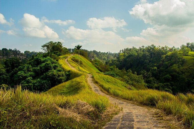Ubud Countryside Tour: Campuhan Ridge Walk and Rice Terrace - What’s Included and What’s Not