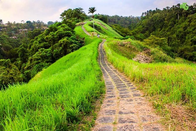 Ubud Countryside Tour: Campuhan Ridge Walk and Rice Terrace - Authentic Experiences and Practical Tips