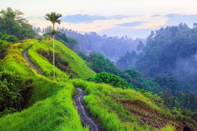 Ubud Countryside Tour: Campuhan Ridge Walk and Rice Terrace - The Sum Up