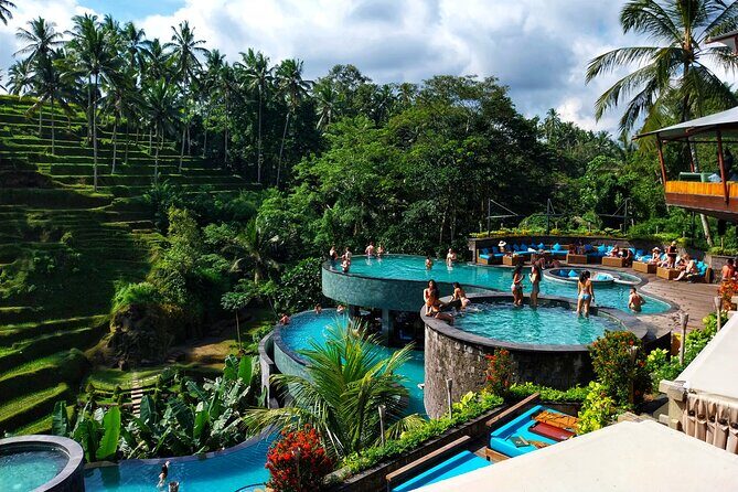 Ubud Cretya Tours and Happy Swing - Discovering Ubud in a Day: An In-Depth Review