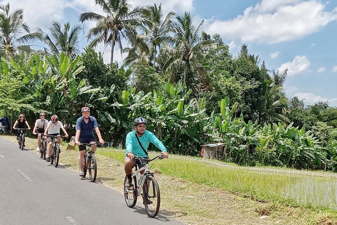Ubud Cultural and Educational Downhill Cycling Tour - What the Reviews Say