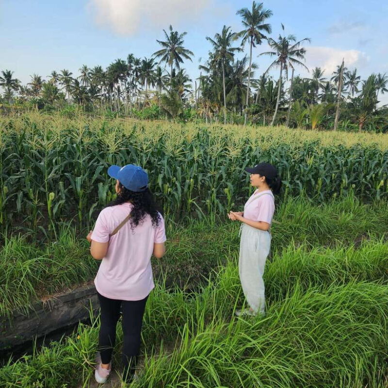 Ubud: Culture and sightseeing tour with Friendly local Guide - Is It Worth It? Analyzing the Value