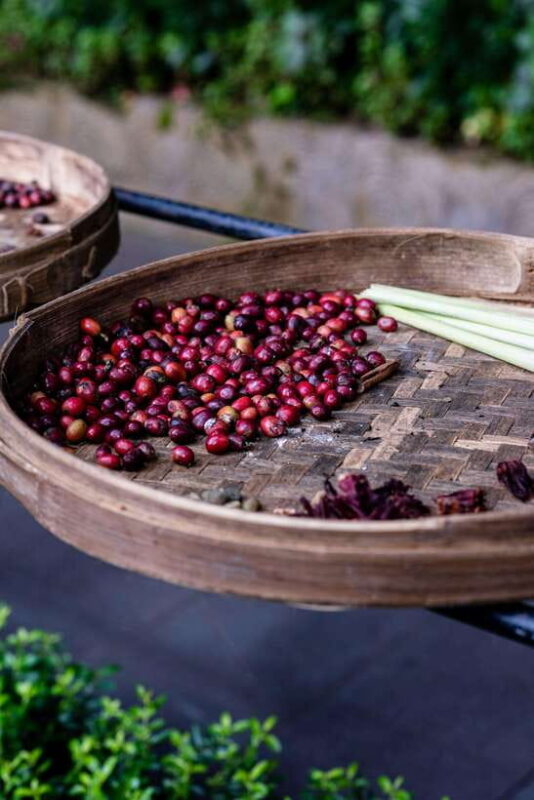 Ubud: Culture and sightseeing tour with Friendly local Guide - The Sum Up