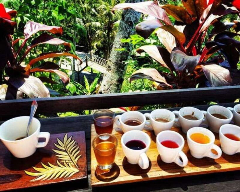 Ubud: Customised Bali Ubud Tour With Transfer - Practical Concerns and Tips