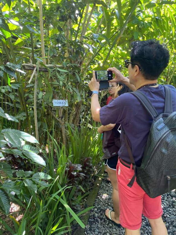 Ubud: Customised private day trip with personal driver - Why Choose a Private Day Trip in Ubud?