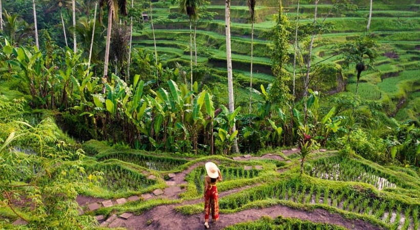 Ubud: Customized Day Tour Waterfalls, Temple & Rice Terraces - Key Points