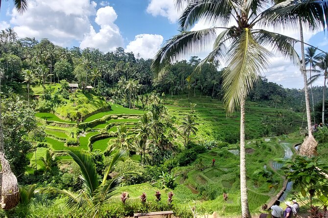 Ubud Customized Private Tour - The Sum Up: Is It Worth It?