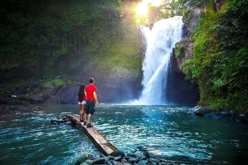 Ubud Customized Tour-Ubud Charter - What Makes This Tour Stand Out?