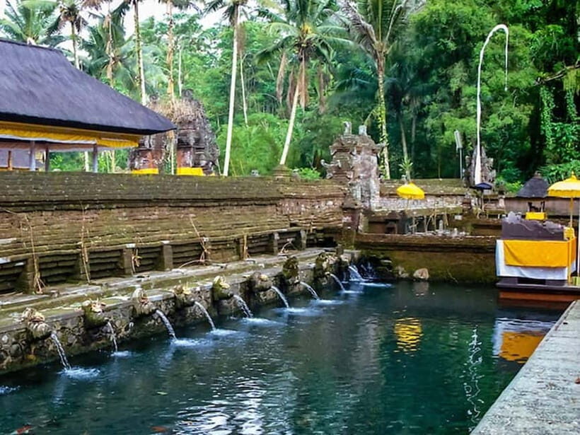 Ubud Customized Tour-Ubud Charter - Transportation and Comfort