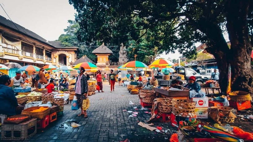 Ubud Customized Tour-Ubud Charter - Who Should Consider This Tour?