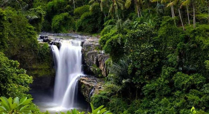 Ubud: Customized Ubud Tour With Private Car - The Sum Up