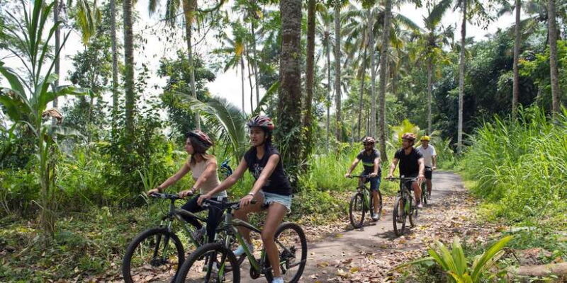 Ubud: Cycling, Jungle Buggies, and White Water Rafting - Key Points