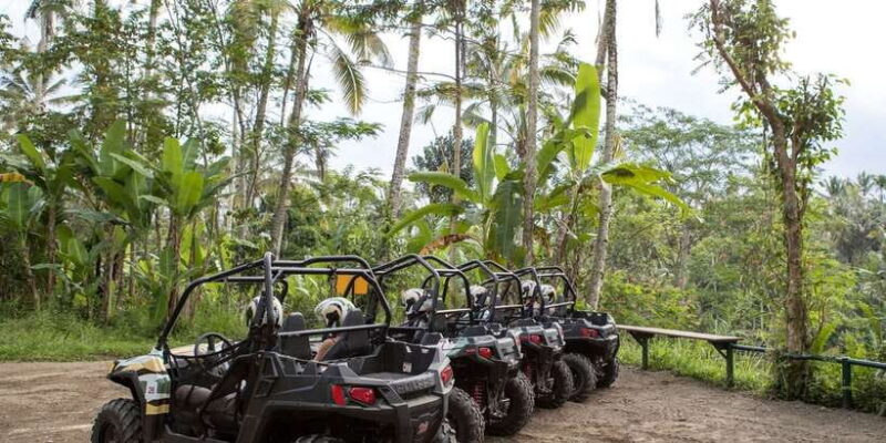 Ubud: Cycling, Jungle Buggies, and White Water Rafting - Final Thoughts: Who Should Consider This Tour?
