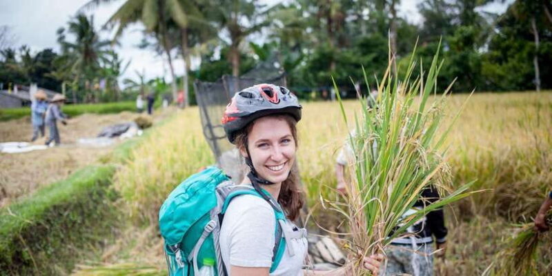 Ubud Cycling Tour : All Inclusive Cycling Adventure - The Experience’s Strengths and Possible Drawbacks