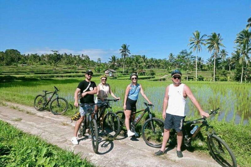 Ubud: Cycling Tour Local Villages, Temple, and Rice Field - Why This Ubud Cycling Tour Stands Out
