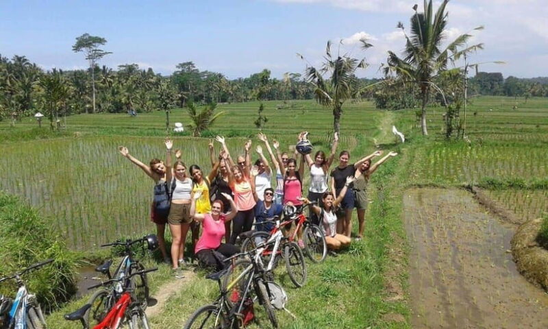 Ubud: Cycling Tour Local Villages, Temple, and Rice Field - The Practical Details