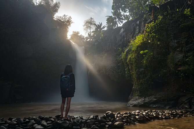 Ubud Day Tour - Top Things to do in Ubud + Local Ubud Guide - Who is This Tour Best For?