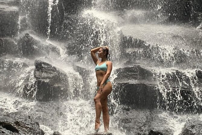 Ubud Day Tour : Waterfall, Temple and Local Night Market Tour - An In-Depth Look at the Ubud Day Tour