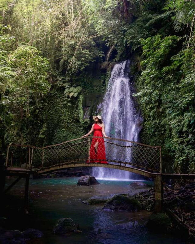 Ubud: Discover Hidden Waterfalls with Swing & Rice Terrace - Authentic Experiences & Authenticity