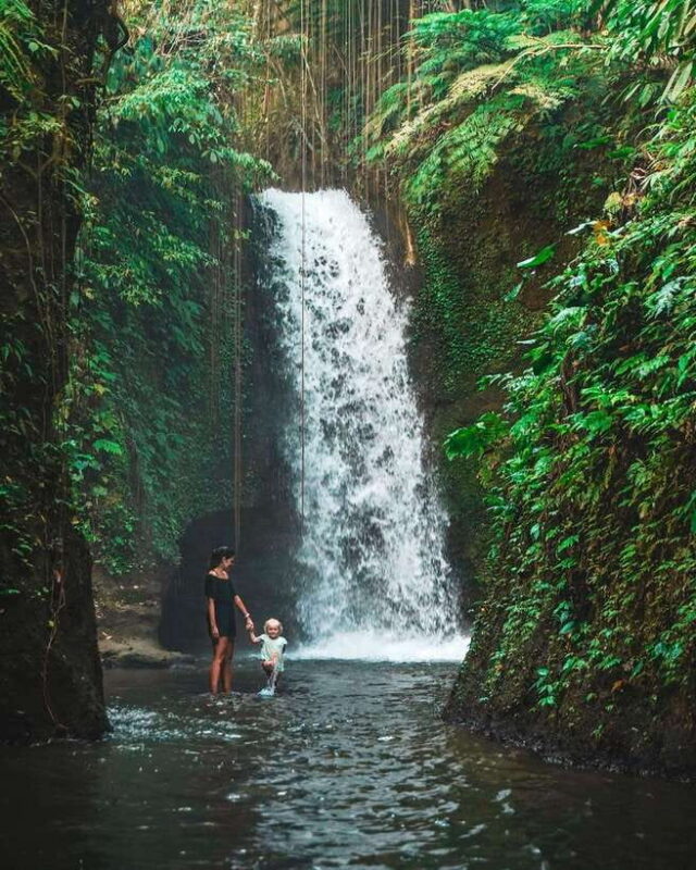 Ubud: Discover Hidden Waterfalls with Swing & Rice Terrace - Who Should Consider This Tour?