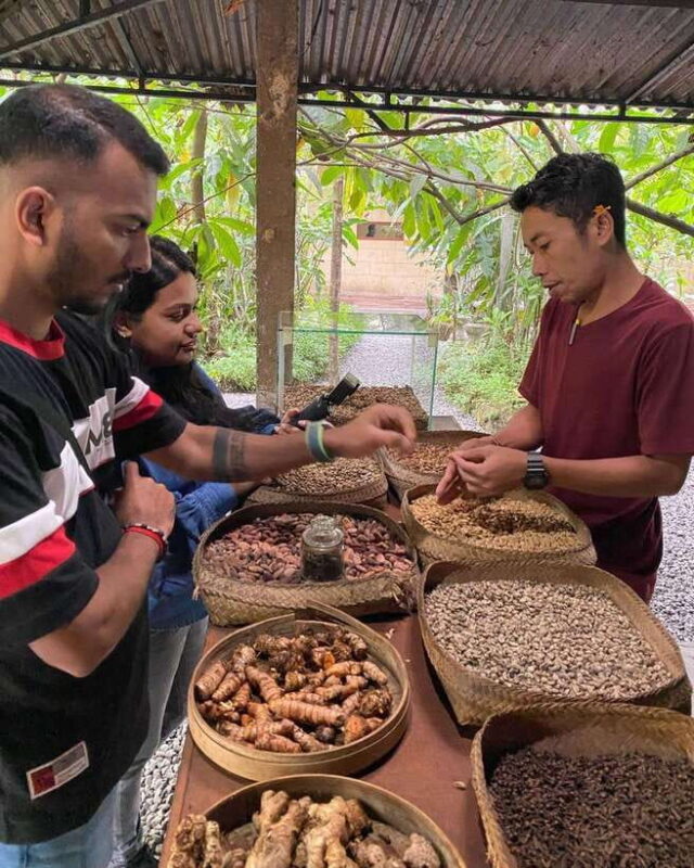 Ubud: Discover Hidden Waterfalls with Swing & Rice Terrace - The Sum Up