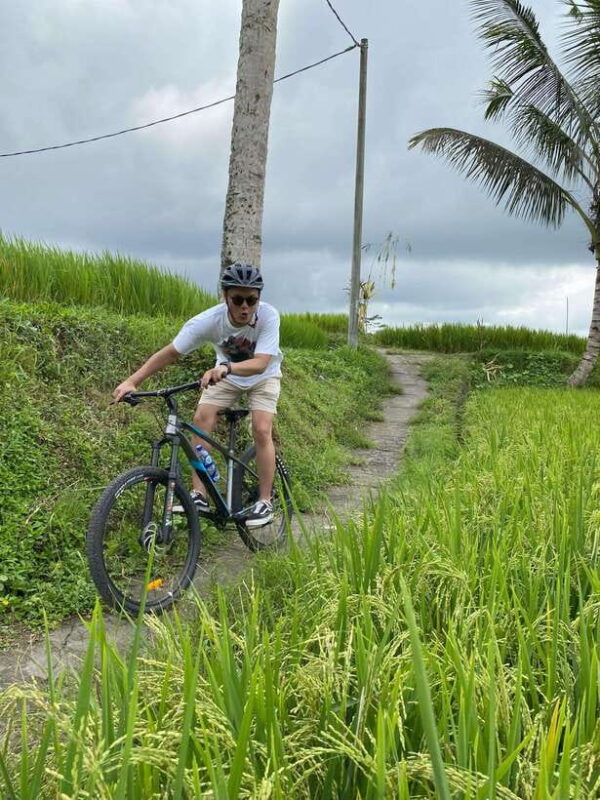 Ubud: Downhill Bike Tour Rice Fields, Volcano and Pool - What Makes This Tour Stand Out?