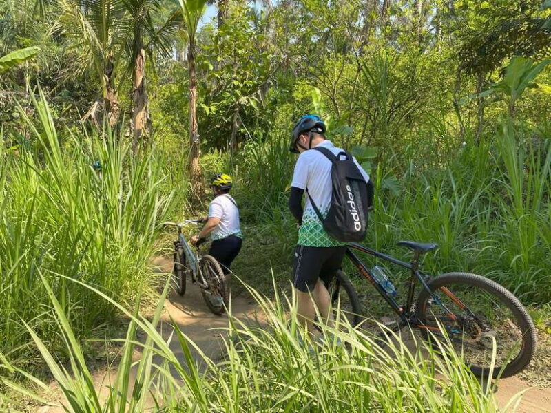 Ubud: Downhill Bike Tour Rice Fields, Volcano and Pool - Practical Details and Tips